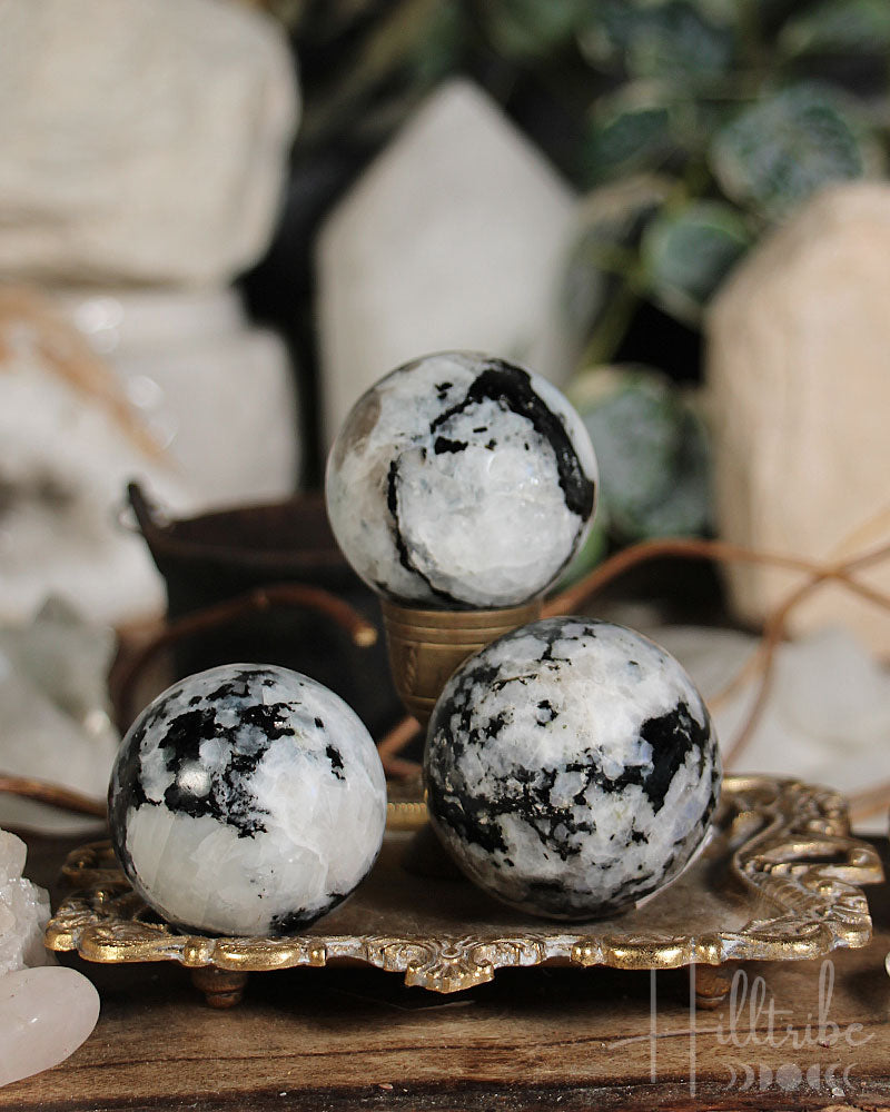Rainbow Moonstone Sphere | Hilltribe Ontario