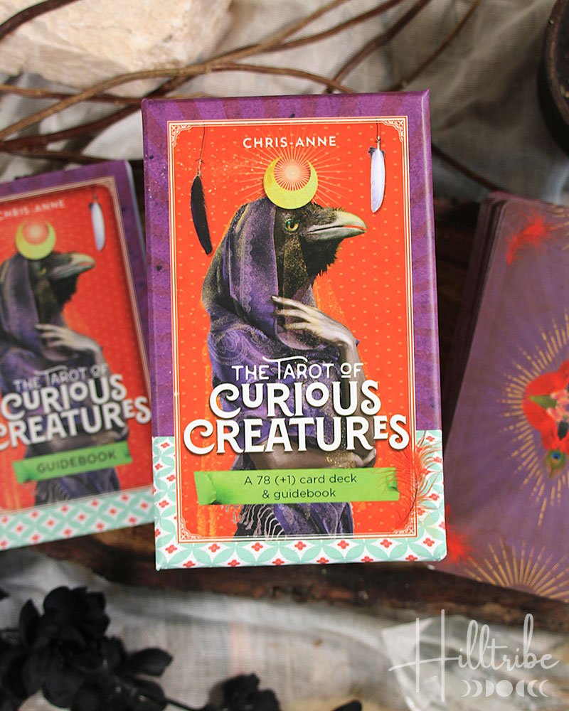 Tarot of Curious Creatures | Hilltribe Ontario