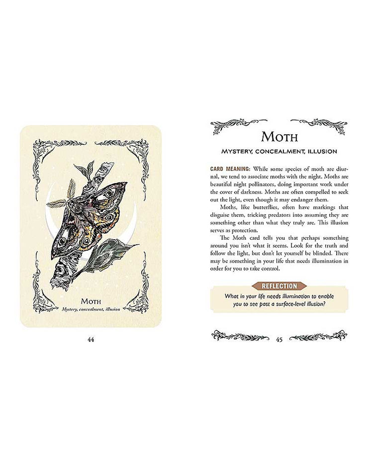 ORACLE DECKS | Hilltribe Ontario